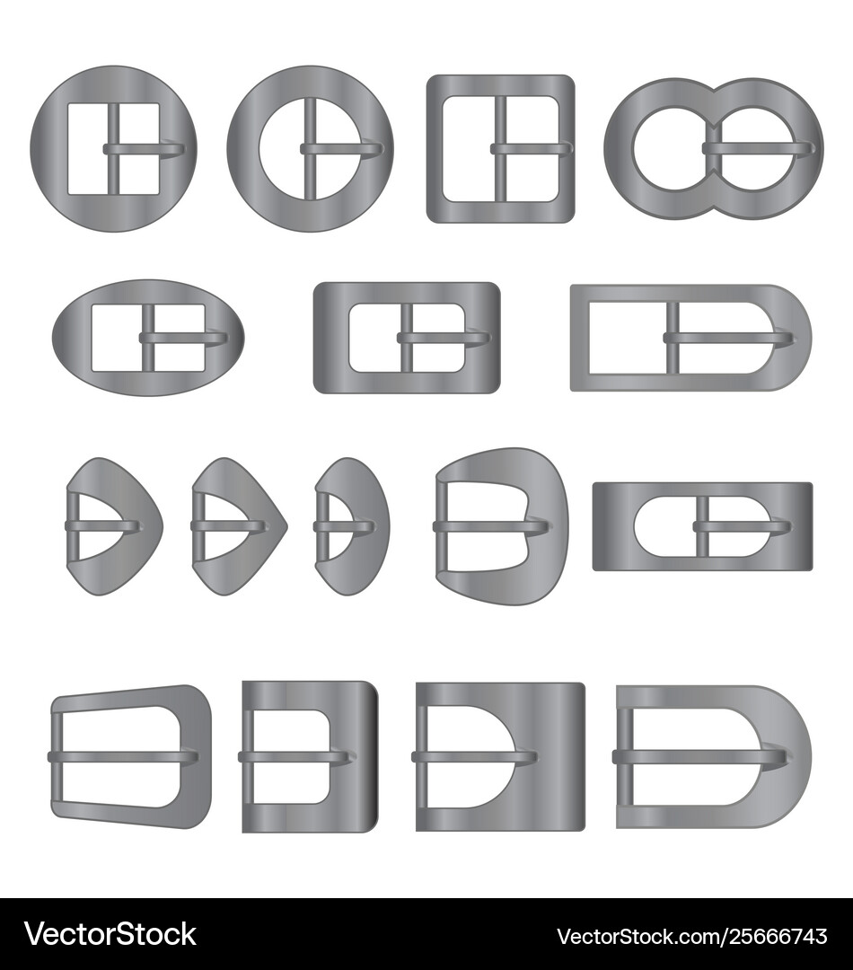 Buckles fashion accessory Royalty Free Vector Image