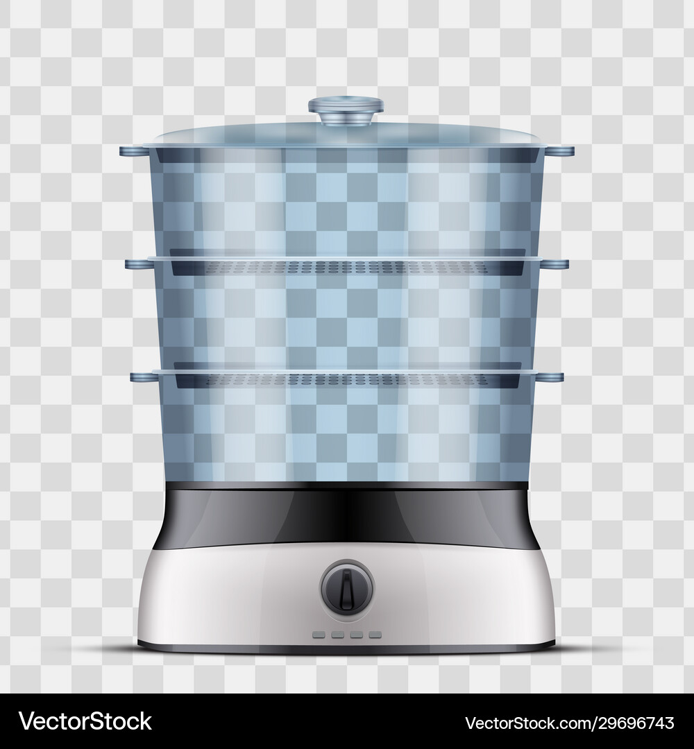 Domestic food steamer Royalty Free Vector Image