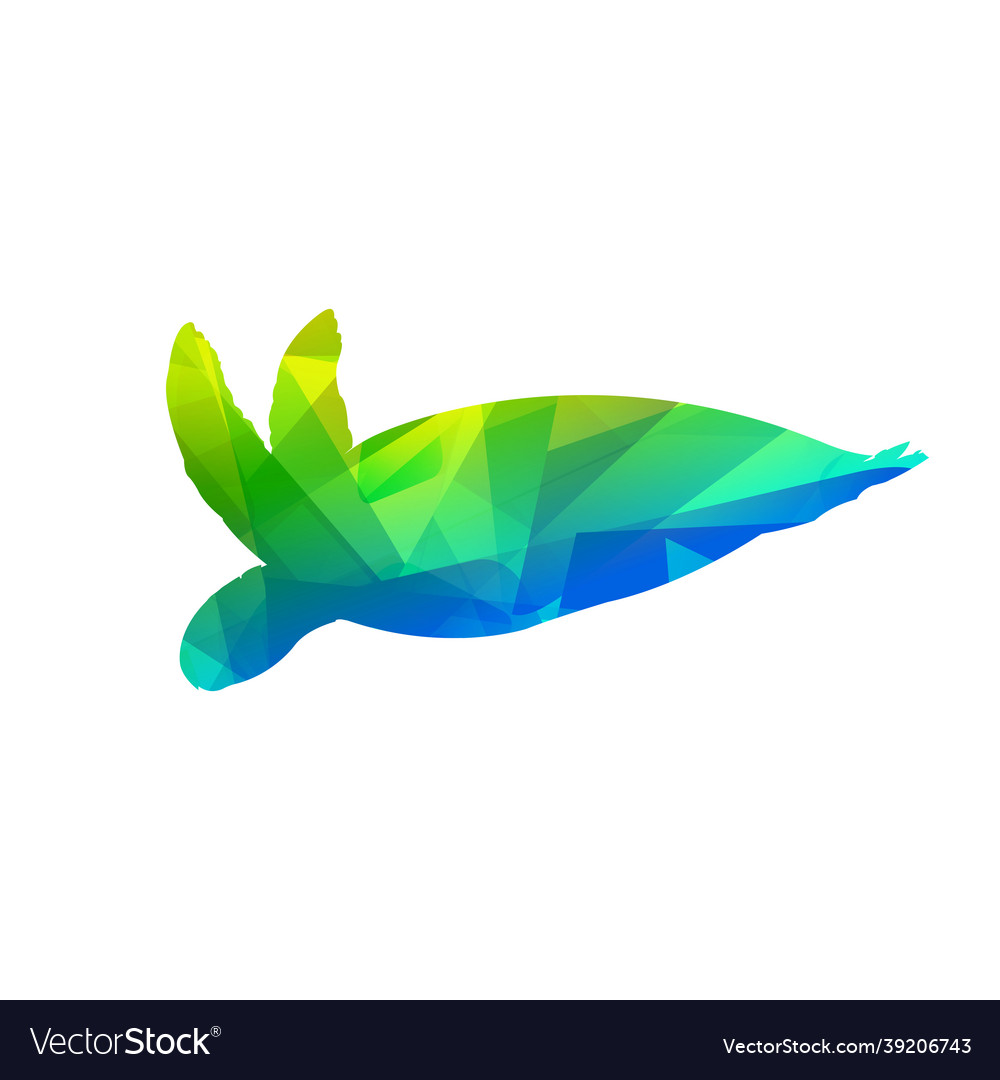 Gem turtle Royalty Free Vector Image - VectorStock