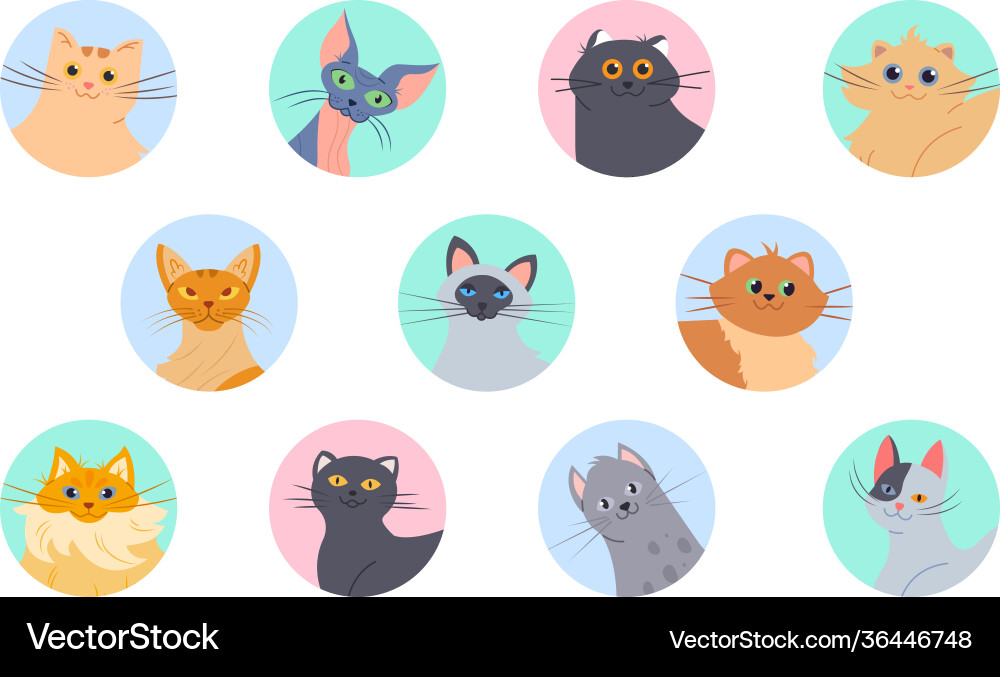 Cats avatars funny kittens various breeds Vector Image