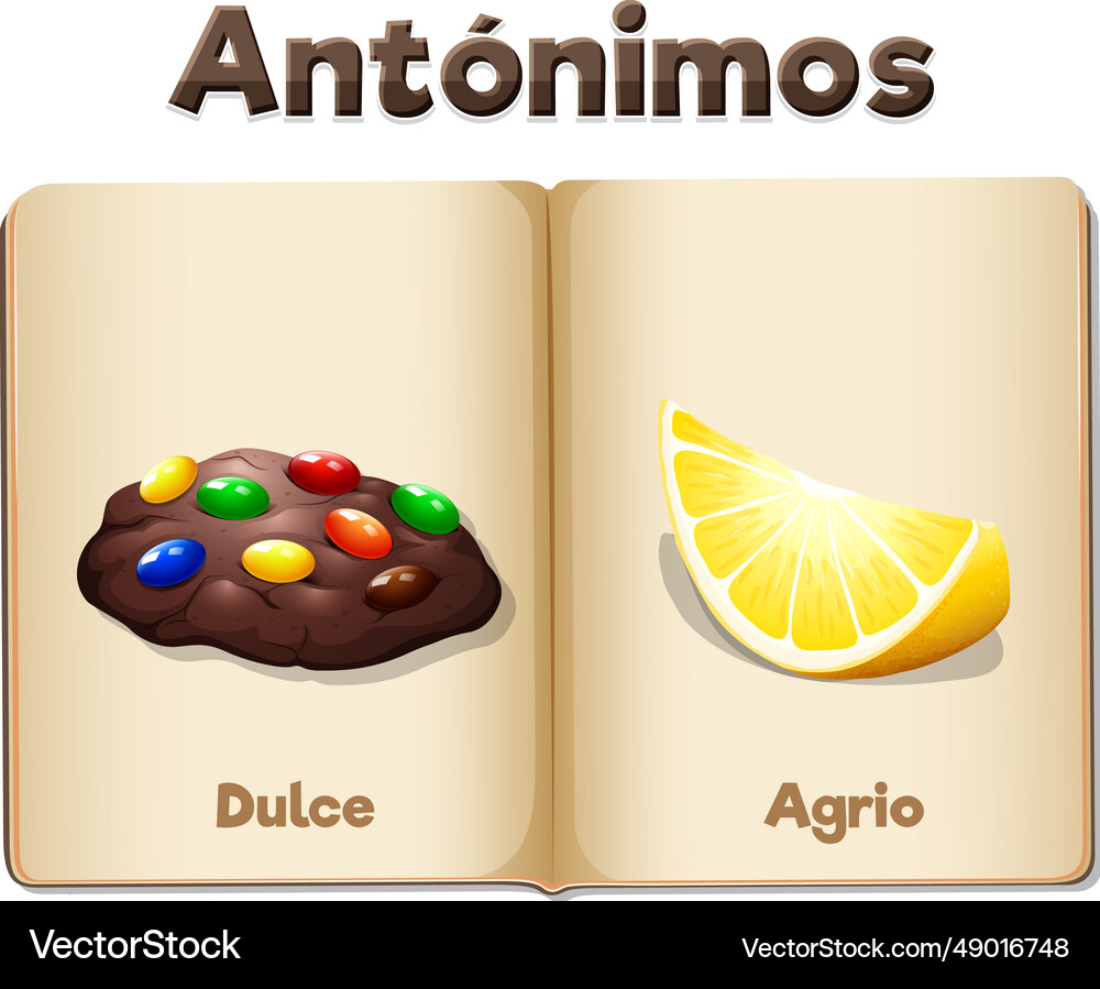 Dulce and agrio spanish antonym word card Vector Image