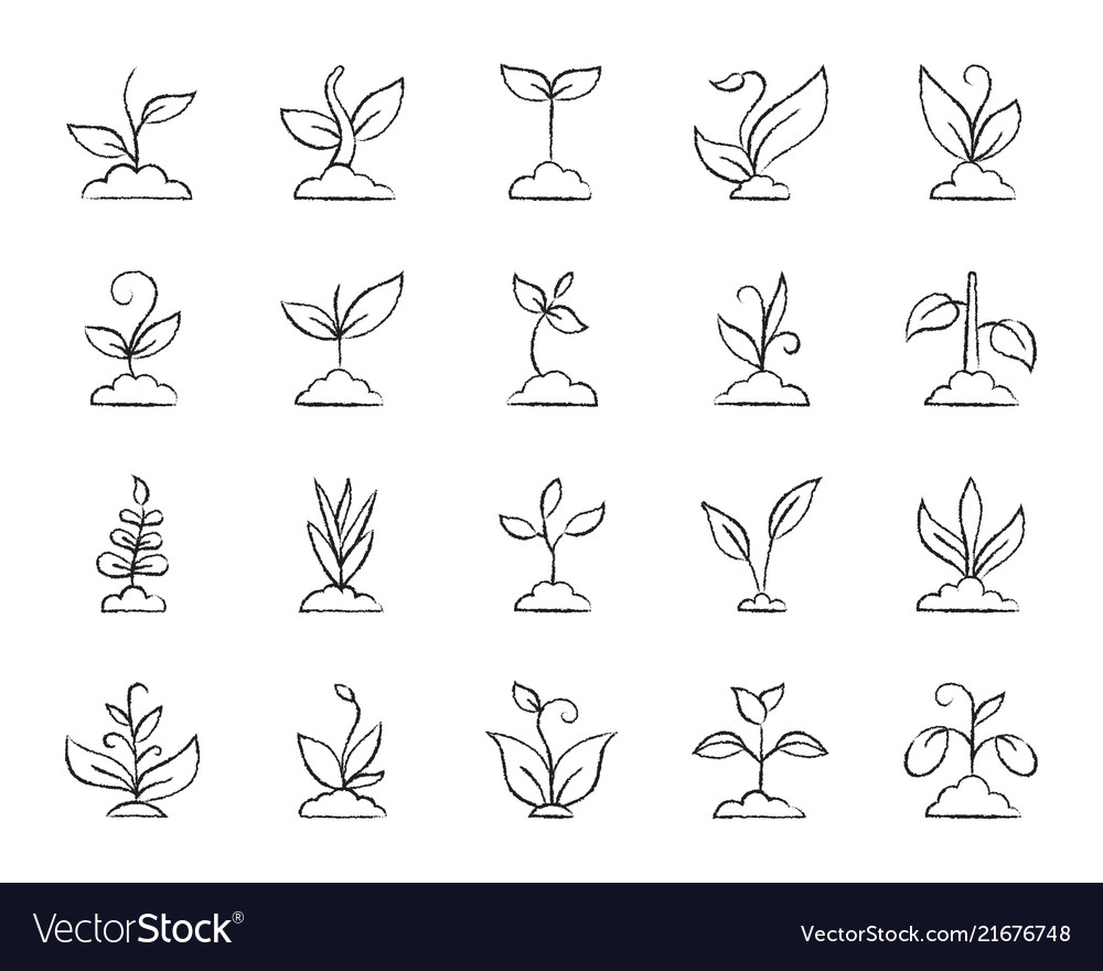 Grass charcoal draw line icons set Royalty Free Vector Image Grass charcoal draw line icons set Royalty Free Vector Image