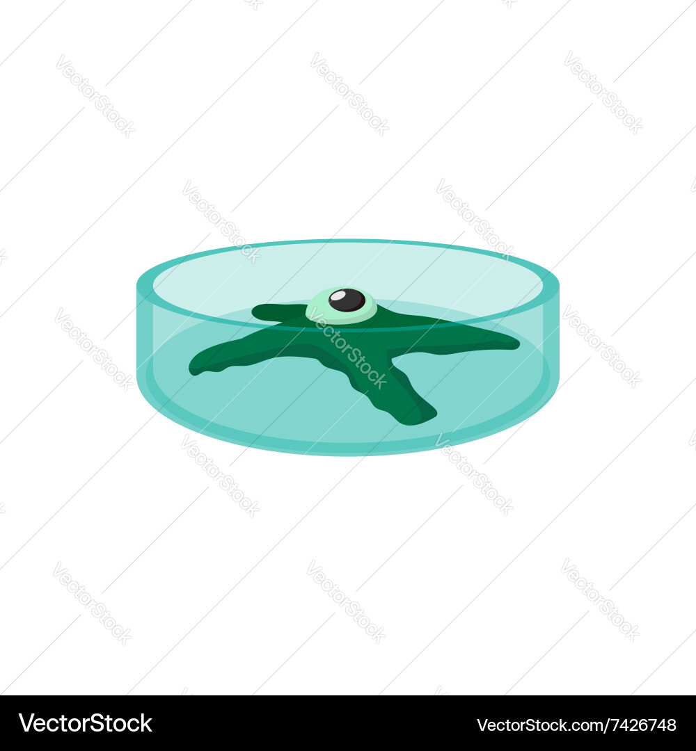Petri dish with bacteria cartoon icon Royalty Free Vector