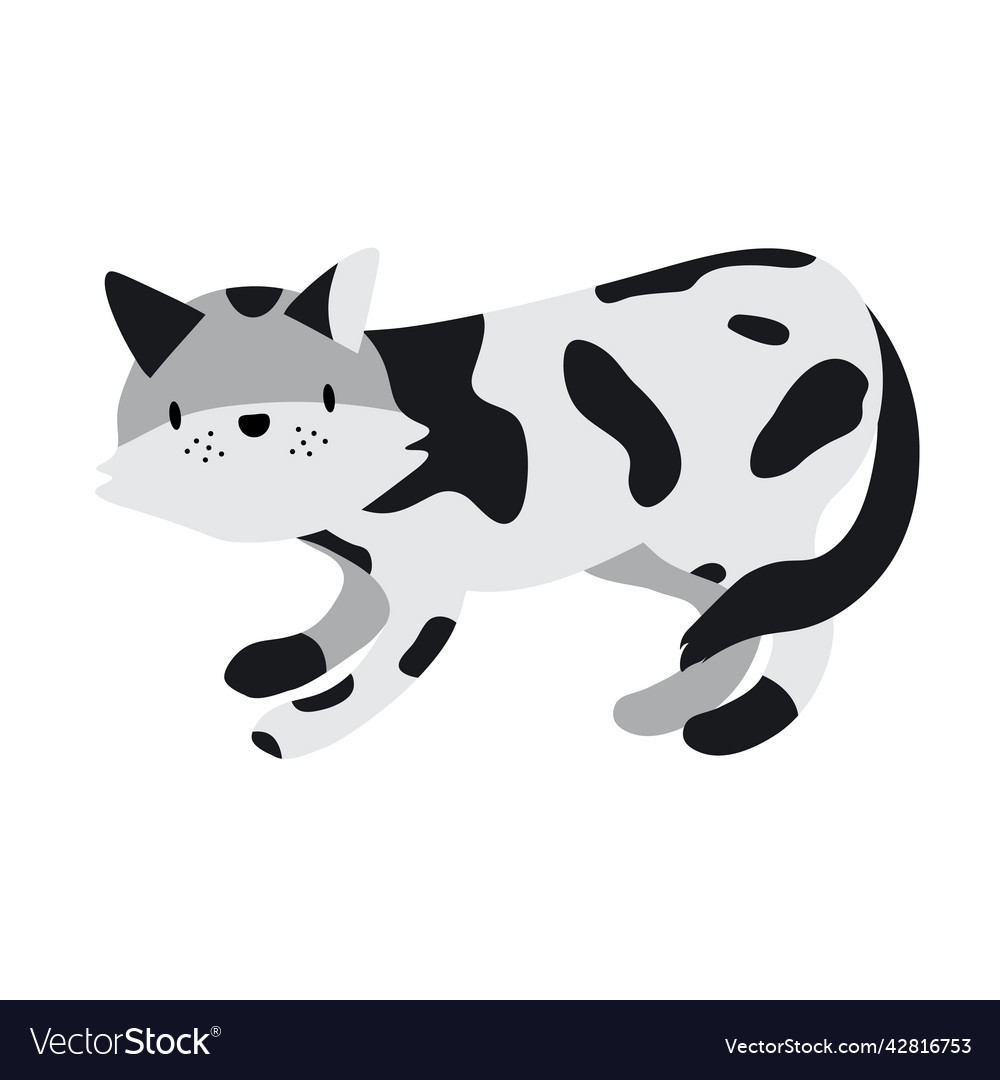 Cute gray cat isolated on white background Vector Image