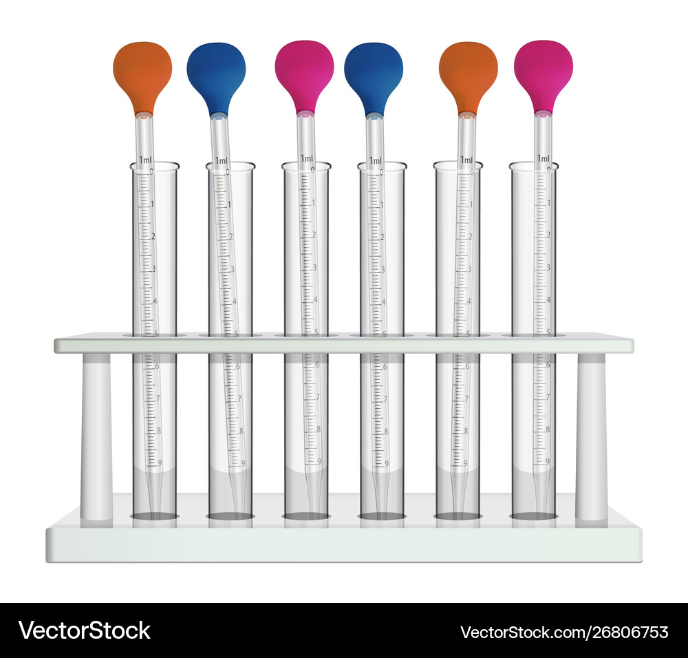 Laboratory rack with glass test tubes Royalty Free Vector