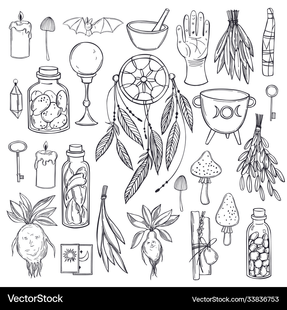 Magical occult elements sorceress collection Vector Image