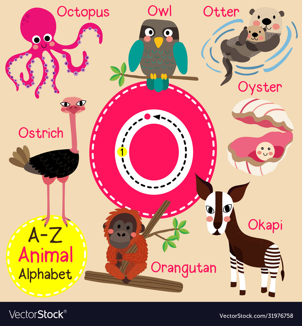 Letter o tracing octopus orangutan otter owl Vector Image