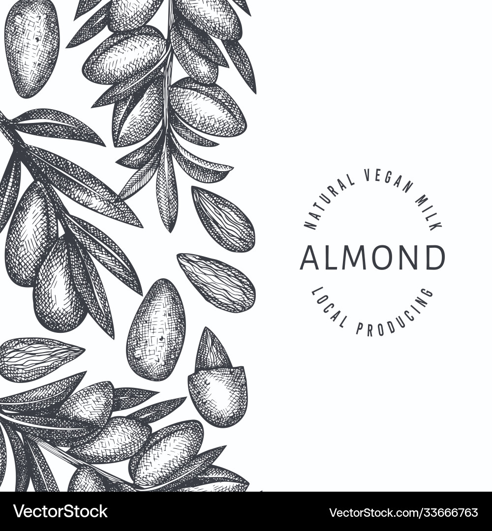 Hand drawn sketch almond design template organic Vector Image