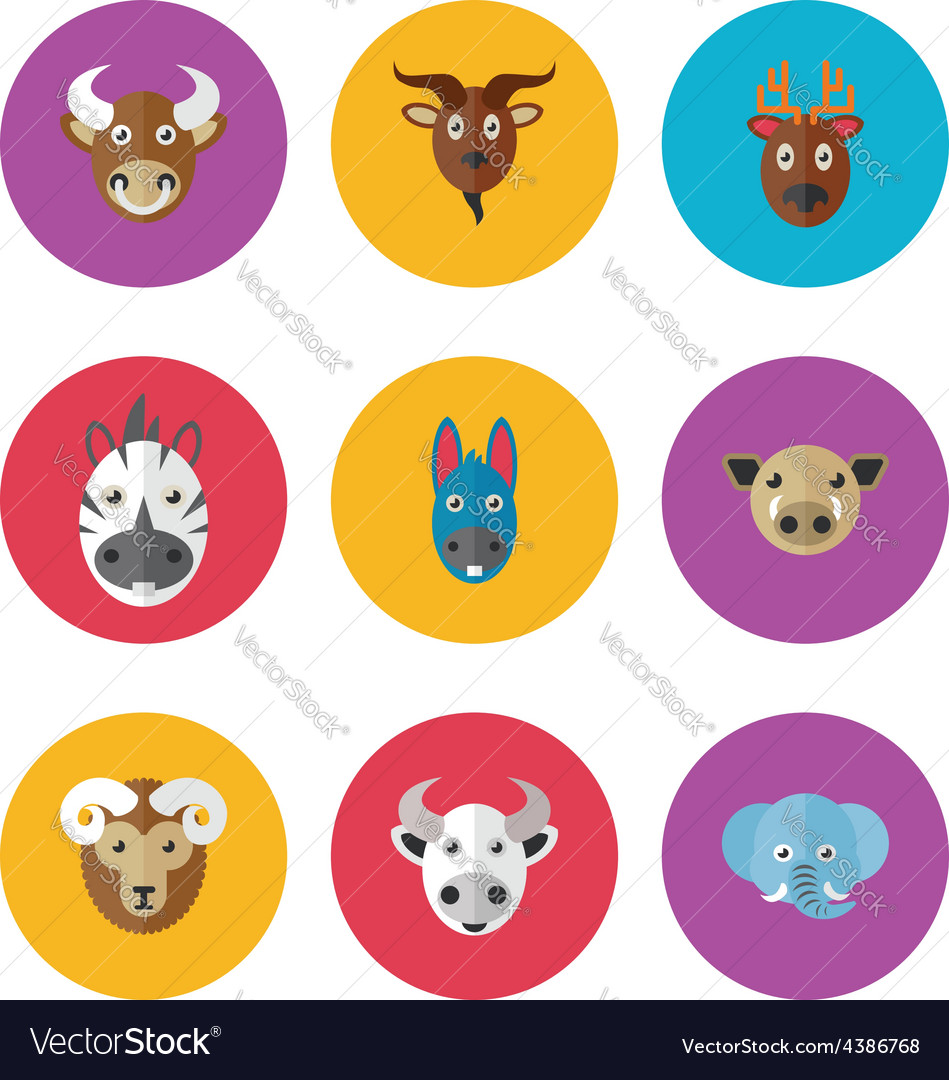 Animals Royalty Free Vector Image - VectorStock