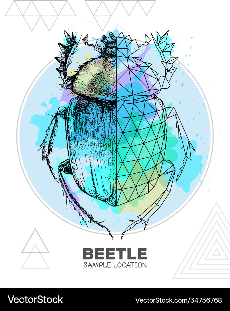 Hand drawing and polygonal scarab beetle Vector Image