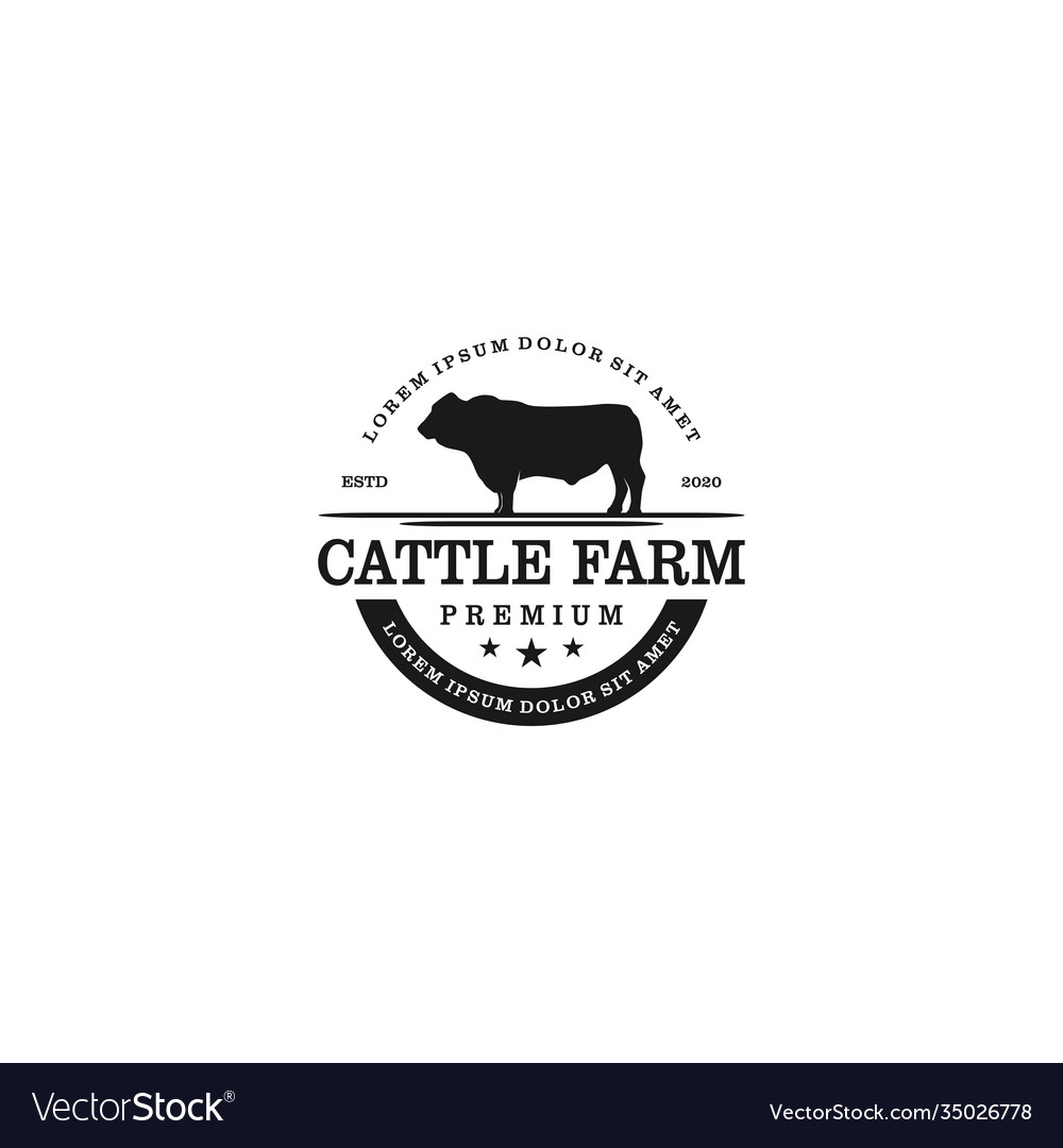 Cattle farm logo design - angus cow beef Vector Image