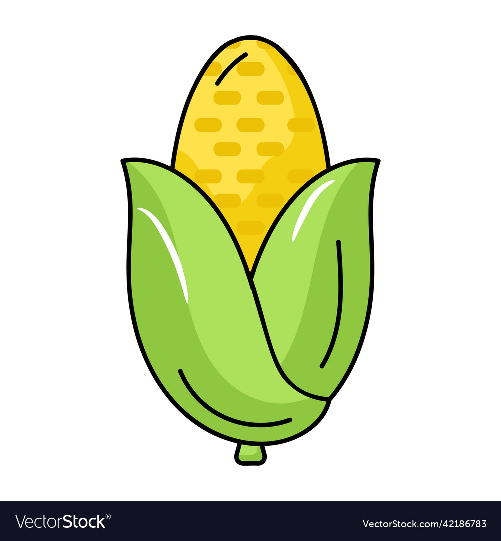 Corn Royalty Free Vector Image - VectorStock