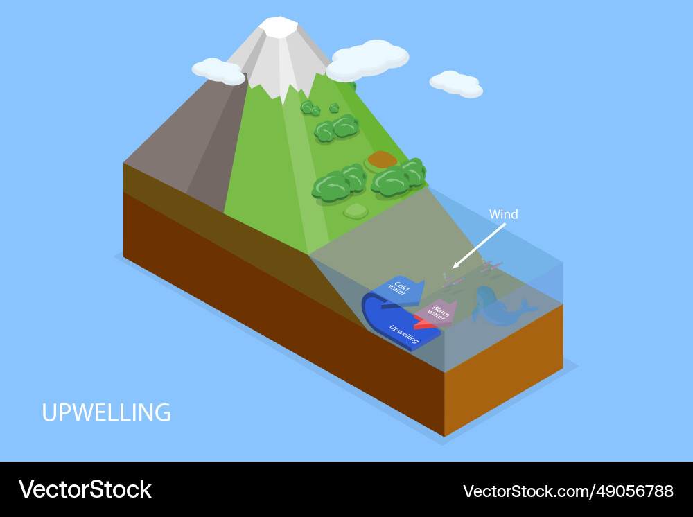 3d isometric flat of upwelling Royalty Free Vector Image