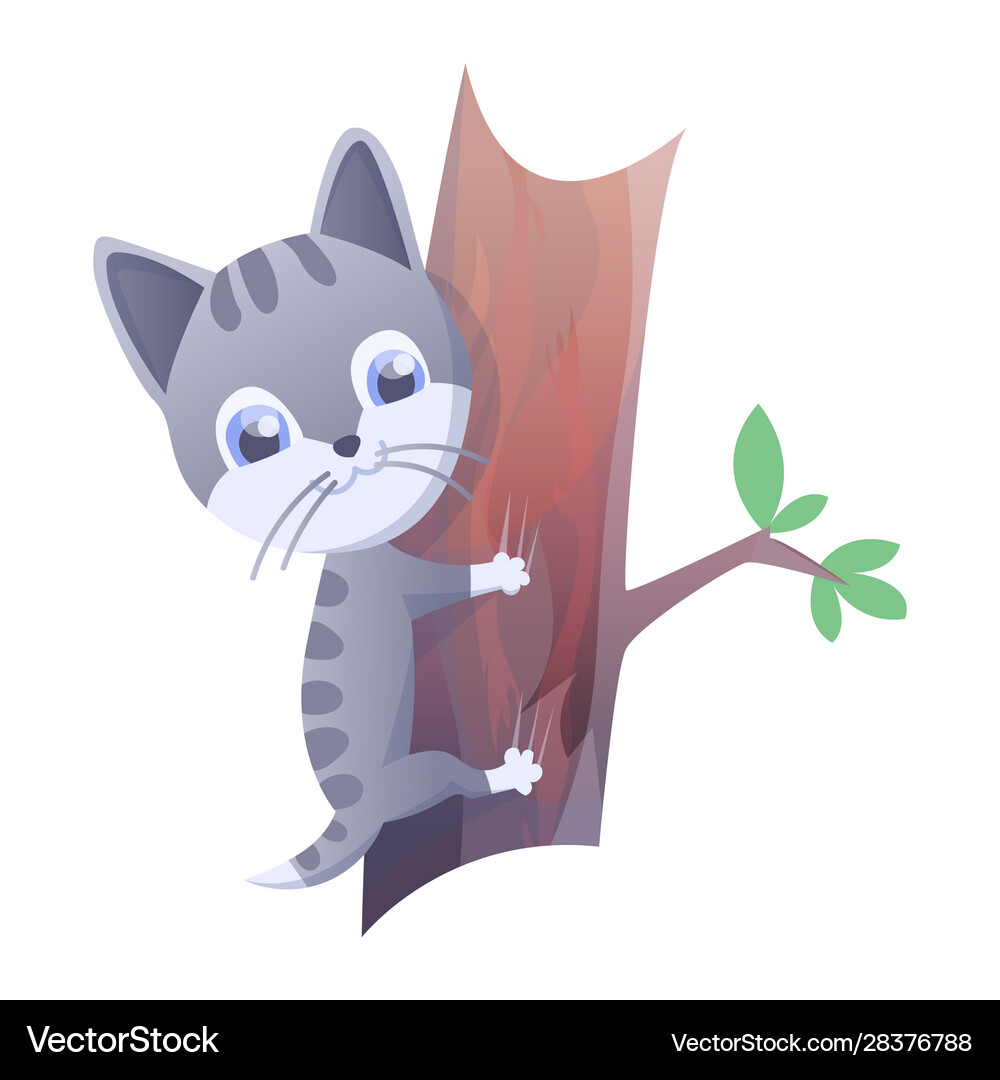 Kitty house domestic cat Royalty Free Vector Image