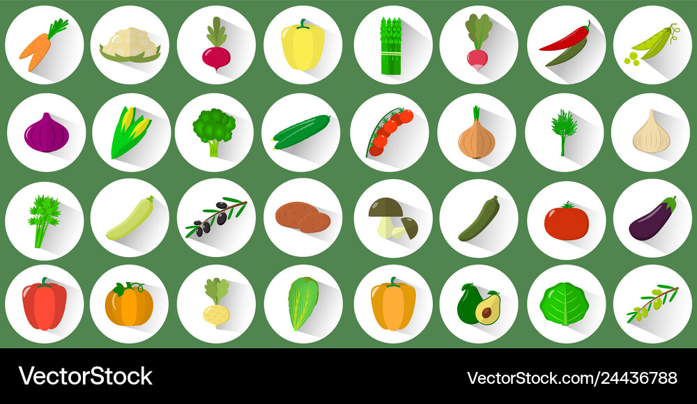 Mega icon set of various vegetables and herbs Vector Image