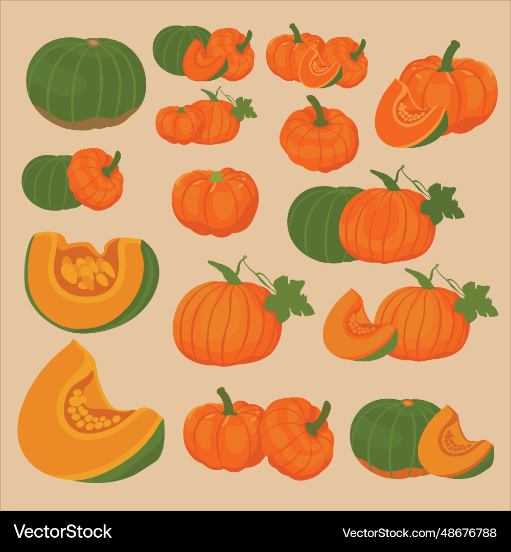 Set of pumpkin collection Royalty Free Vector Image