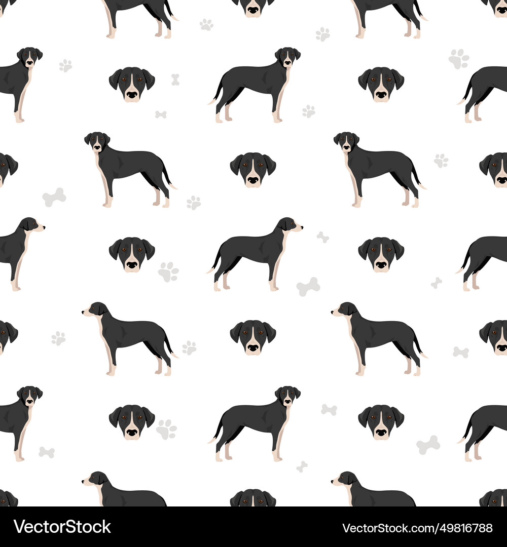 Stephens cur seamless pattern all coat colors set Vector Image