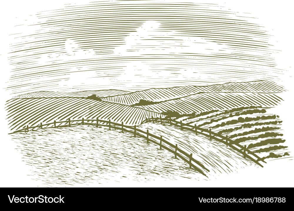 Woodcut countryside road Royalty Free Vector Image