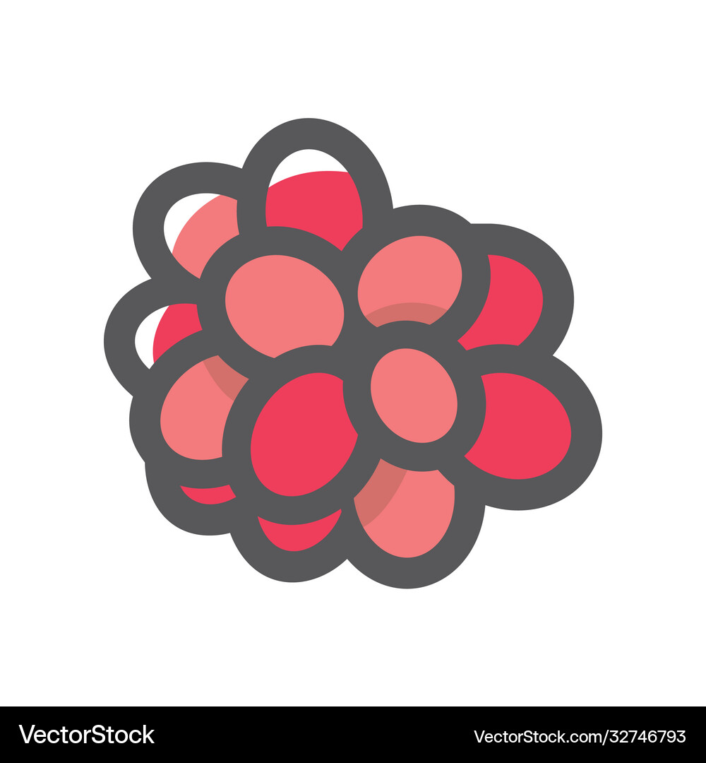 Bunch berries red ripe cartoon Royalty Free Vector Image