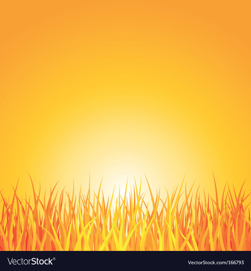 Sunset Royalty Free Vector Image - VectorStock