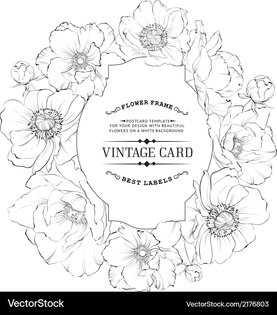 Design vintage floral card Royalty Free Vector Image
