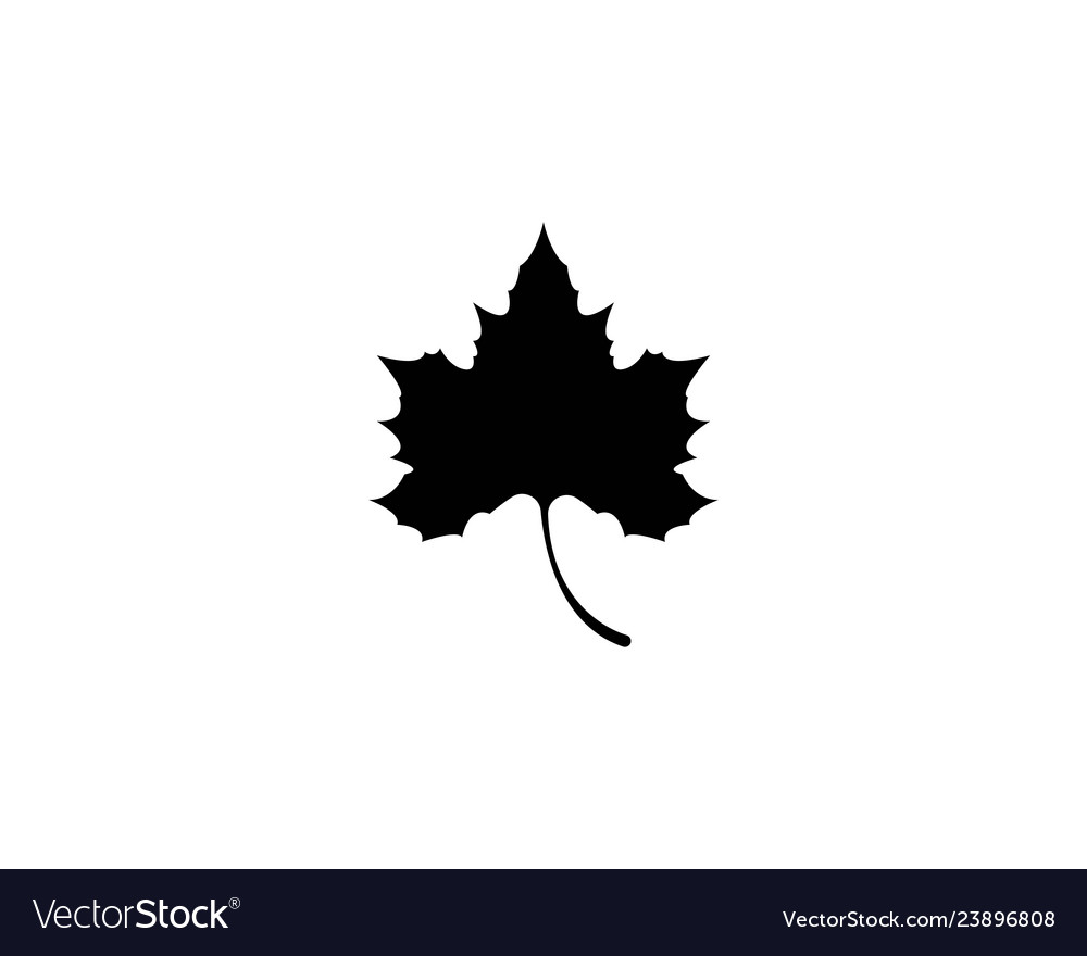 Maple leaf icon Royalty Free Vector Image - VectorStock