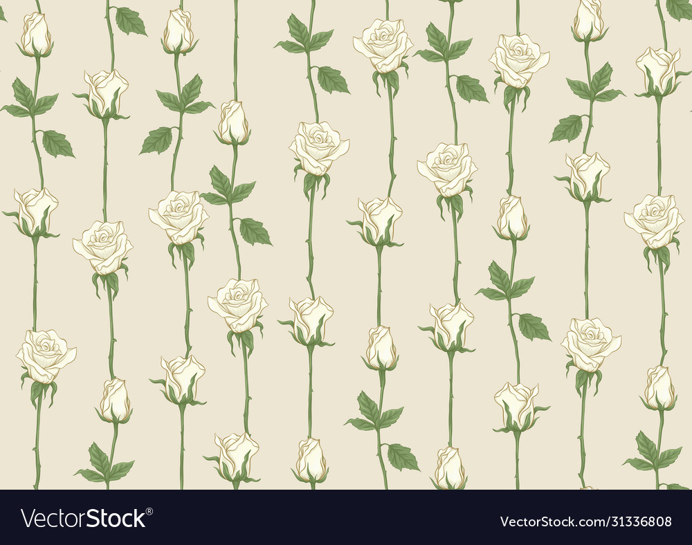 White roses seamless pattern background Royalty Free Vector