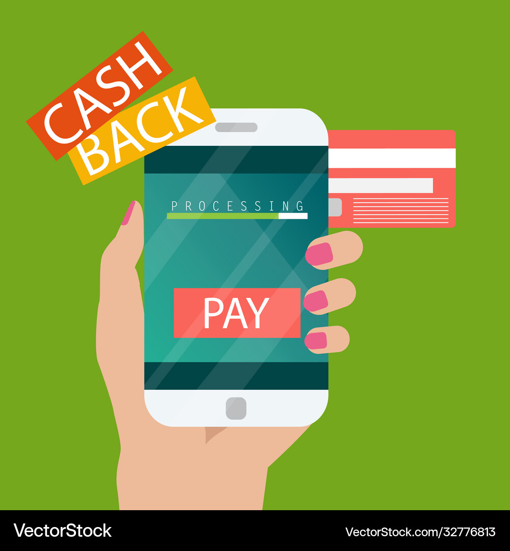 Cash back icon isolated on background money Vector Image