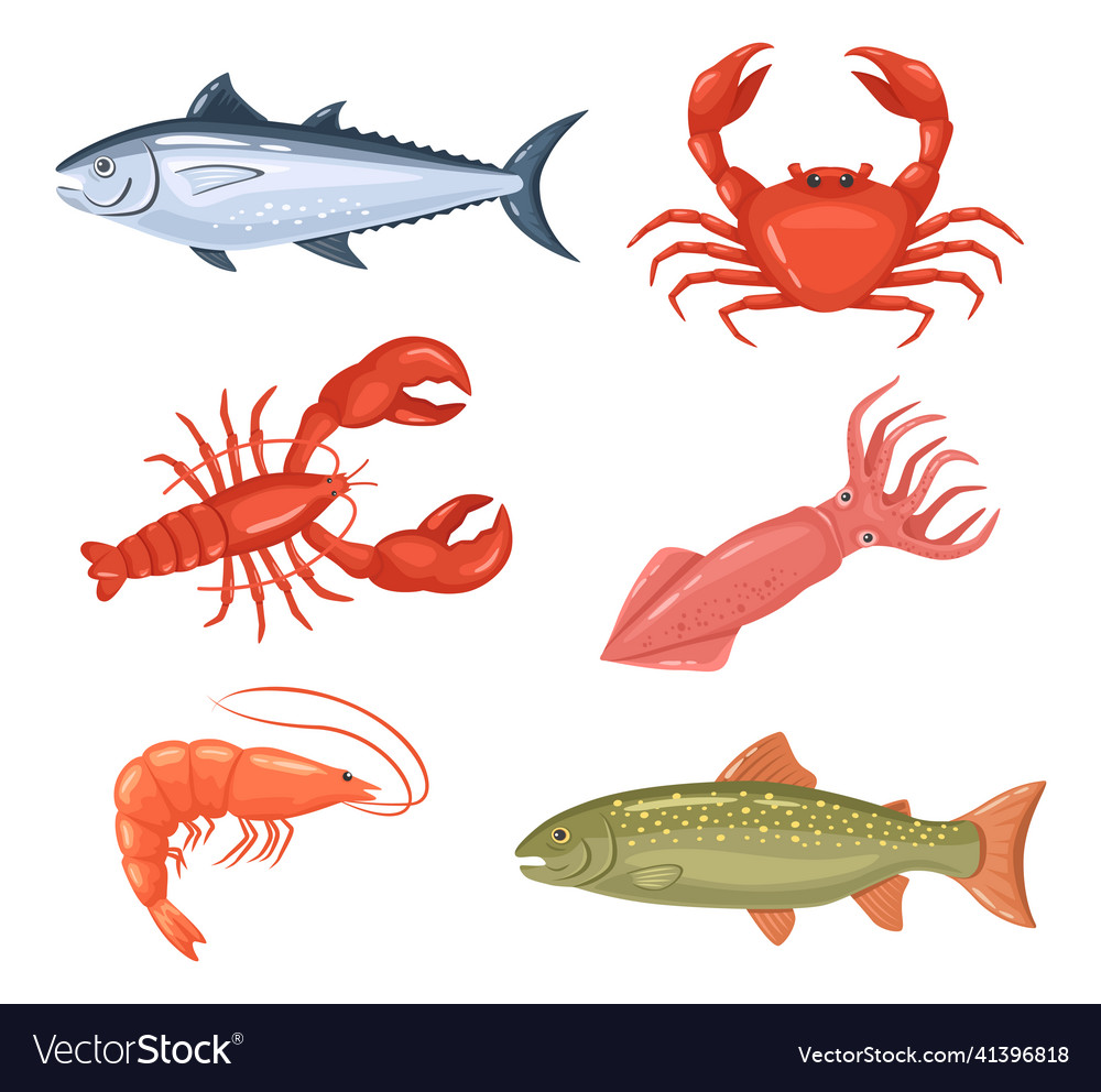 Supply And Demand Clipart Fish