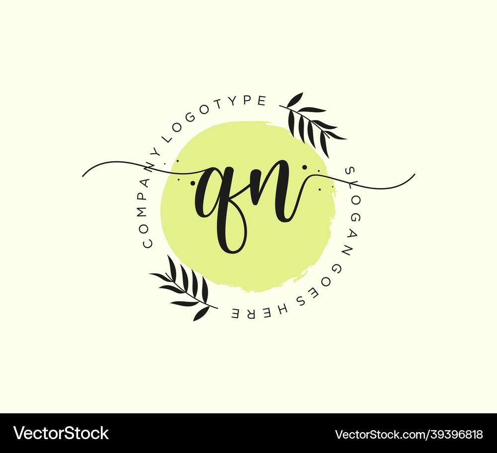 Initial qn feminine logo beauty monogram Vector Image