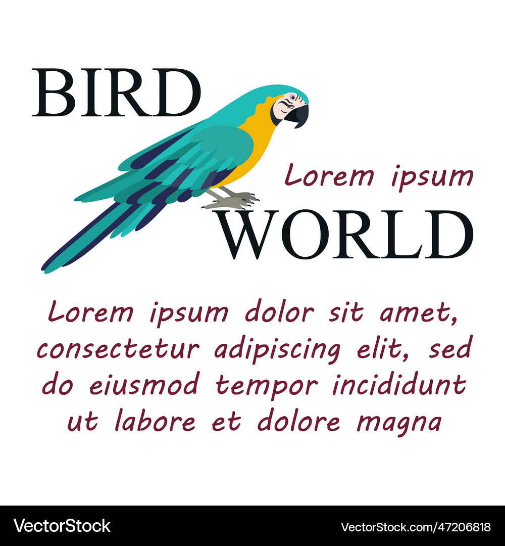 Poster banner with parrot bird and text Royalty Free Vector