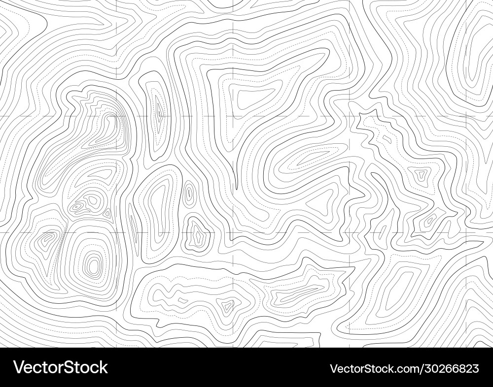 Abstract black and white topographic contours Vector Image