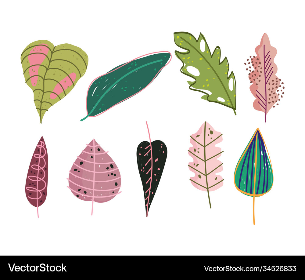 Doodle contemporary set different leaves Vector Image