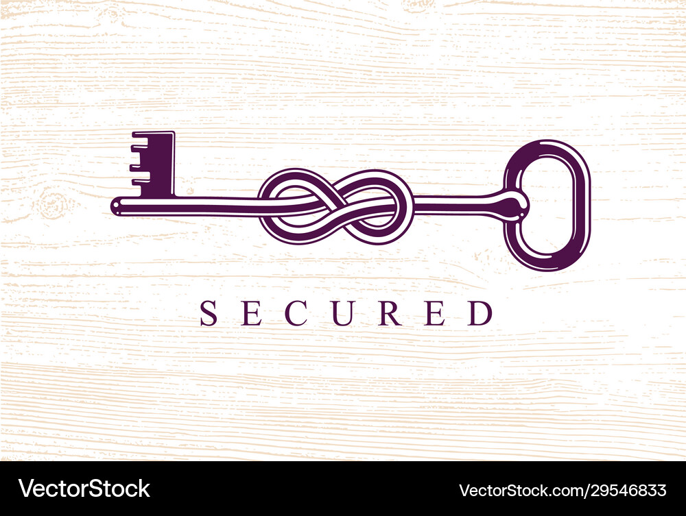 Knotted key allegorical symbol keep secret Vector Image