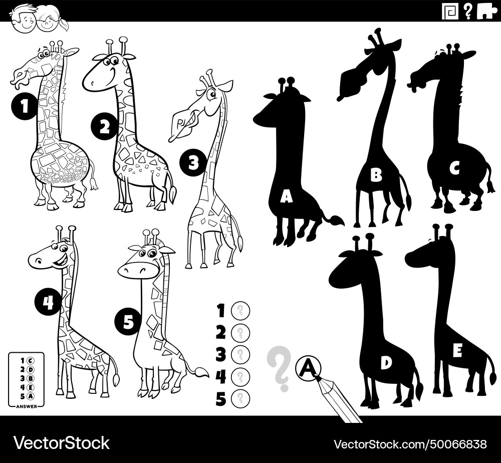 Shadows activity with cartoon giraffes coloring Vector Image
