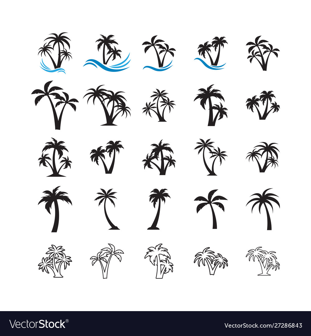 Palm tree collection set graphic design template Vector Image
