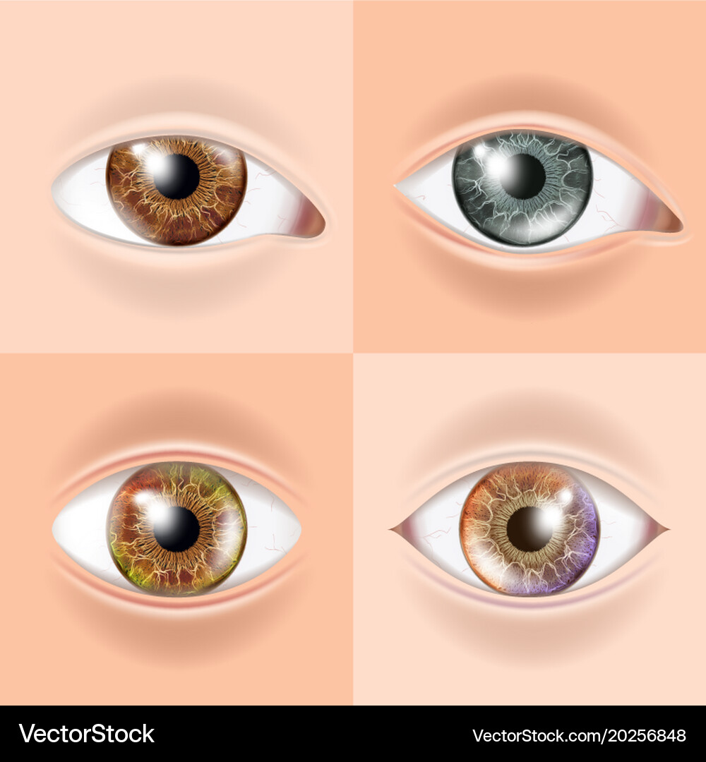 Human eye set vision concept medical Royalty Free Vector
