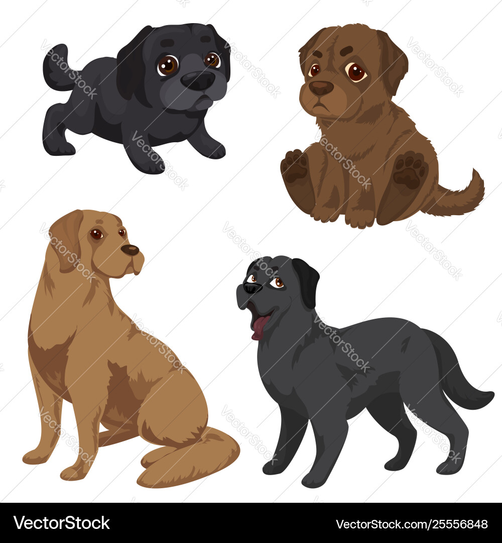 Labrador icons set cartoon style Royalty Free Vector Image