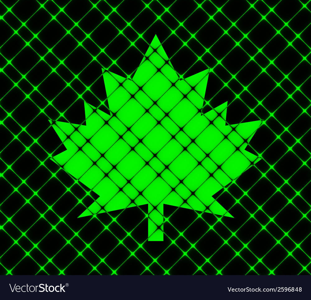 Maple leaf flat modern web button and space Vector Image