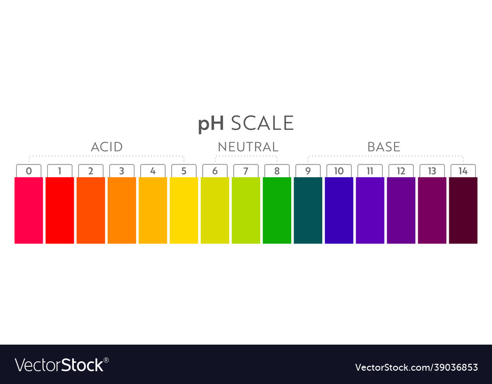 Ph value scale chart Royalty Free Vector Image