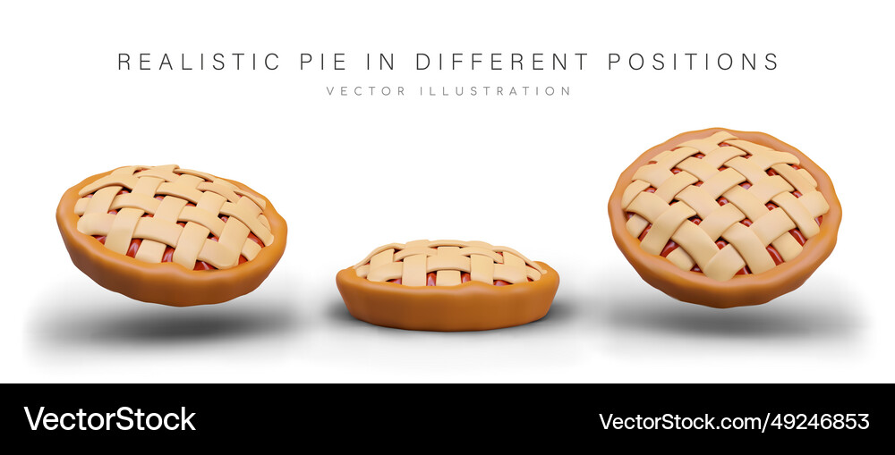 Realistic pie in different positions tasty round Vector Image
