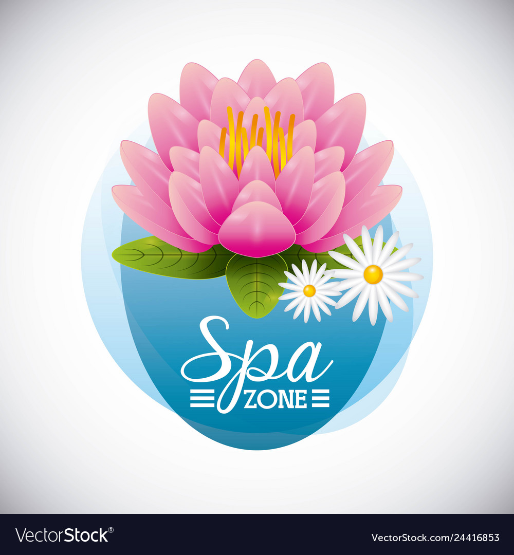 Spa zone Royalty Free Vector Image - VectorStock