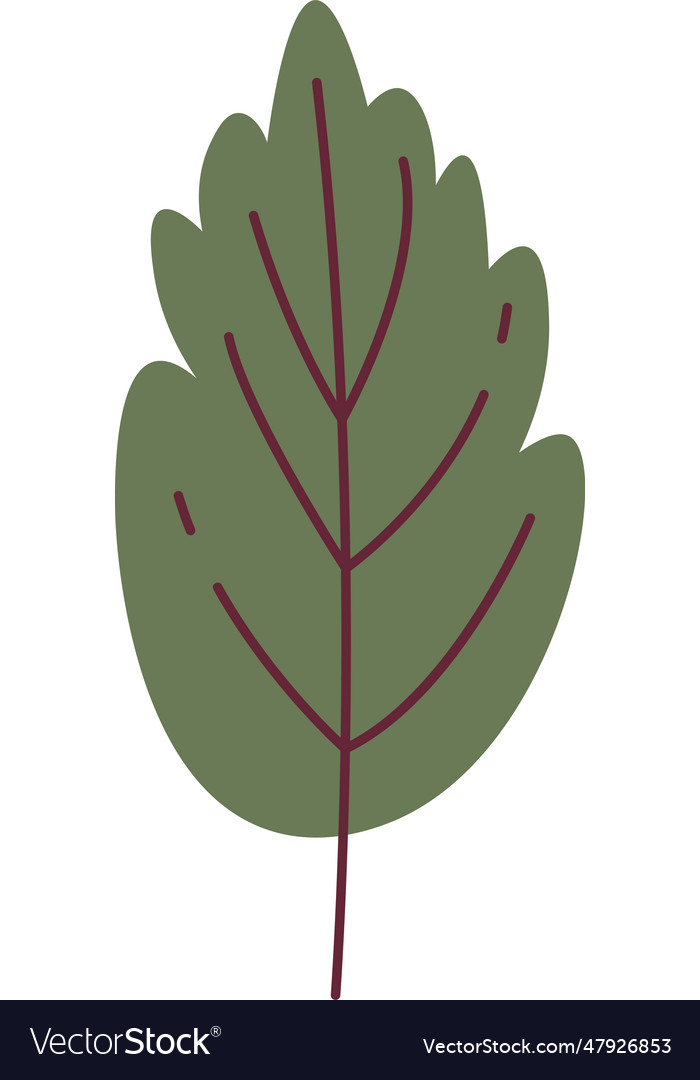 Tree leaf icon Royalty Free Vector Image - VectorStock