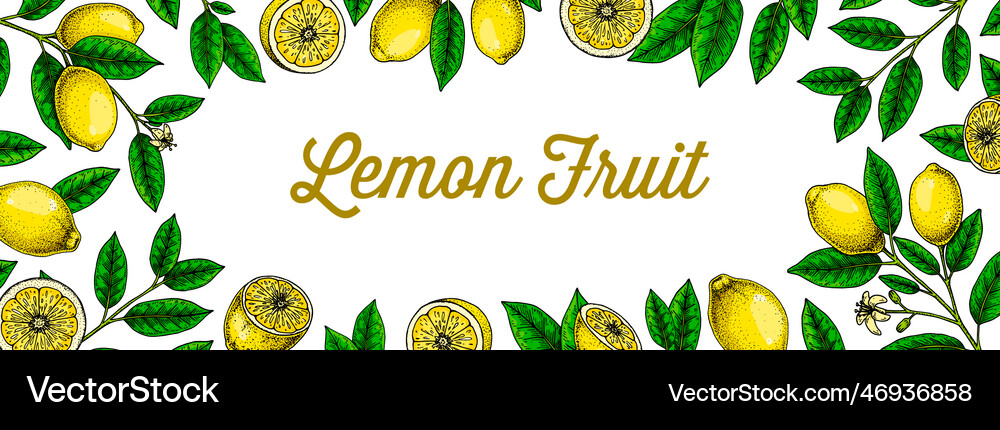 Horizontal lemon background hand drawn colorful Vector Image
