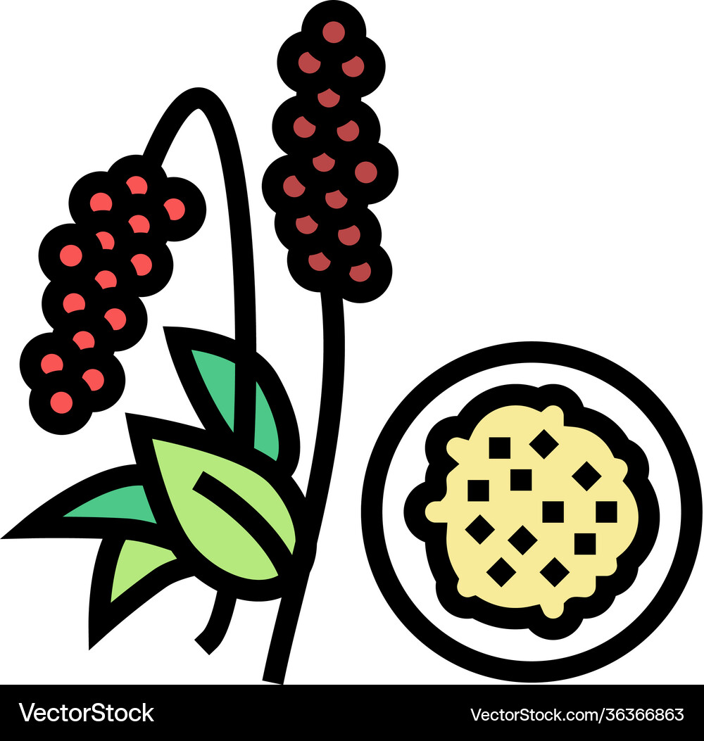 Amaranth groat color icon Royalty Free Vector Image