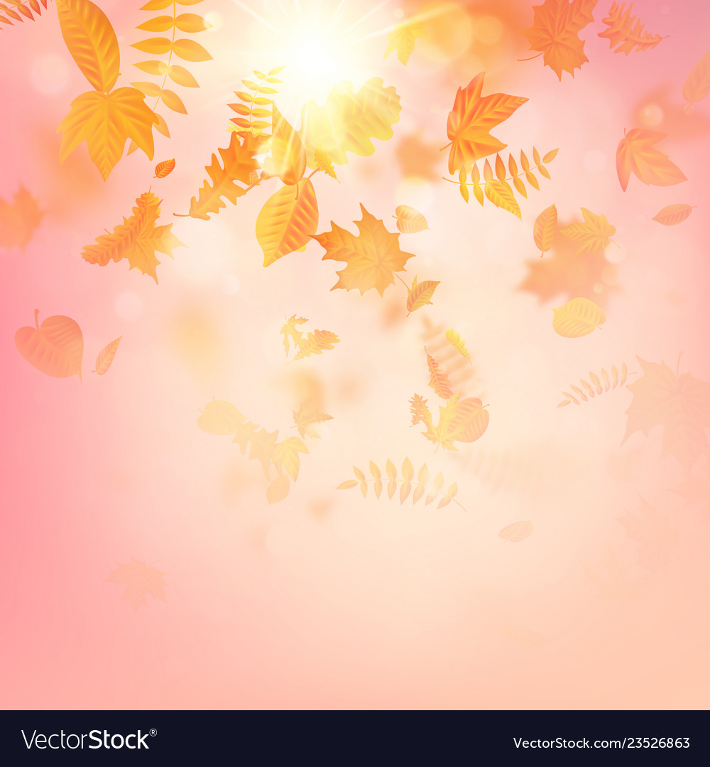 Autumn composition with maple leaves eps 10 Vector Image