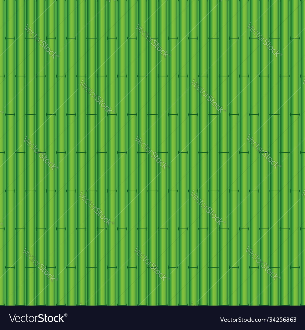 Bamboo seamless pattern Royalty Free Vector Image