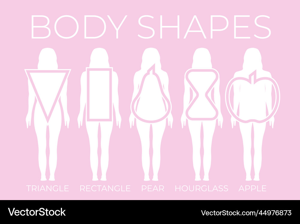 Woman body shapes triangle rectangle apple pear Vector Image