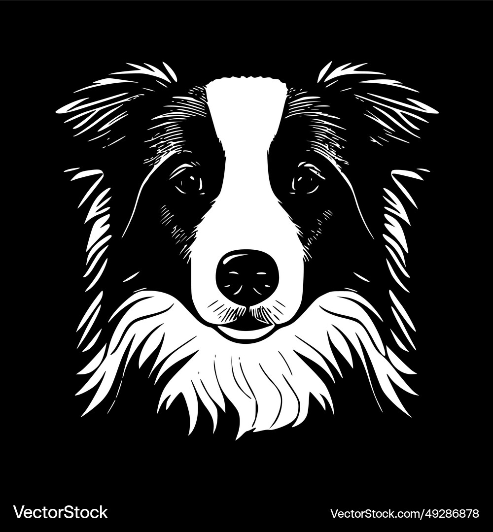 Border collie - high quality logo ideal Royalty Free Vector