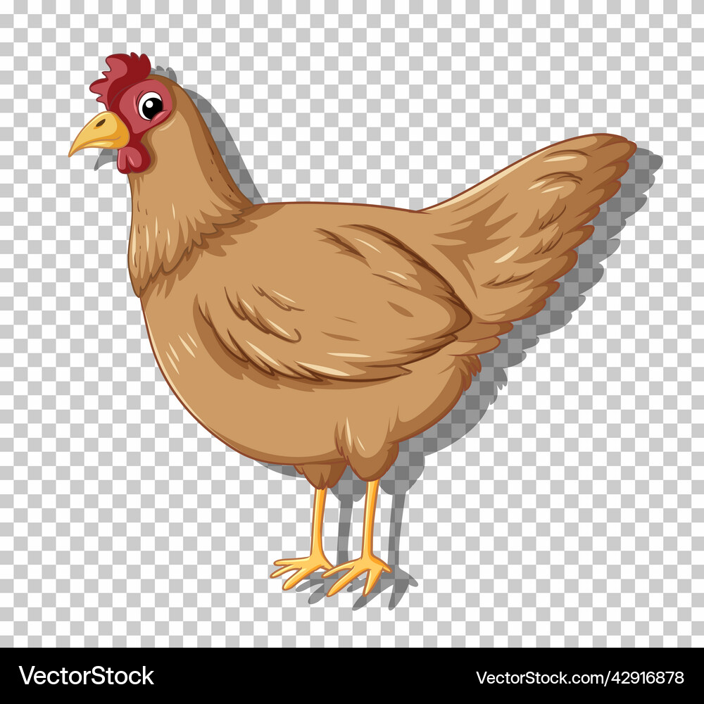 Cute chicken in flat cartoon style Royalty Free Vector Image
